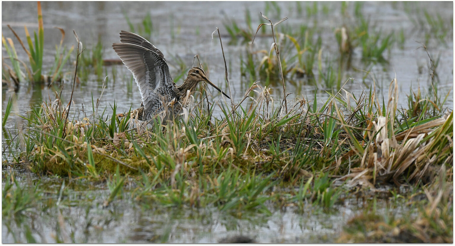 Les étangs - Conservatoire d'espaces naturels Centre-Val de Loire
